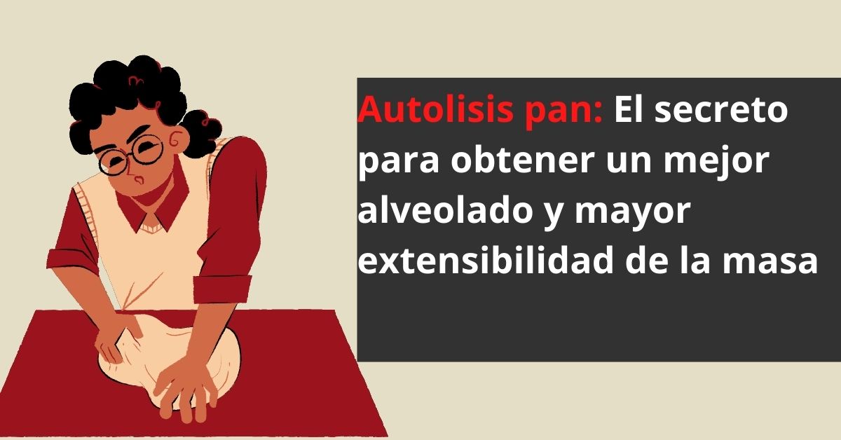 Autolisis pan: El secreto para obtener un mejor alveolado y mayor ...